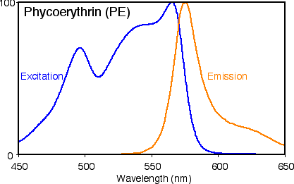 PE [R-Phycoerythrin] | CAS 11016-17-4 | AAT Bioquest | Biomol.com