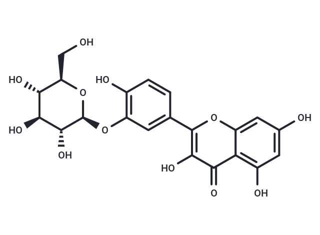 Quercetin-3'-glucoside | CAS 19254-30-9 | TargetMol | Biomol.com