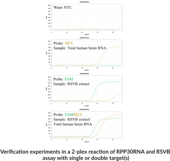 Human RPP30-RNA Control Assay RT-qPCR Assay | Cayman Chemical | Biomol.com
