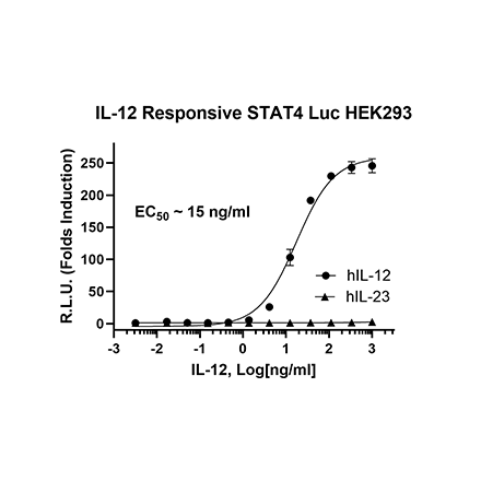 IL-12 Responsive STAT4 Luciferase Reporter HEK293 Cell Line | BPS ...