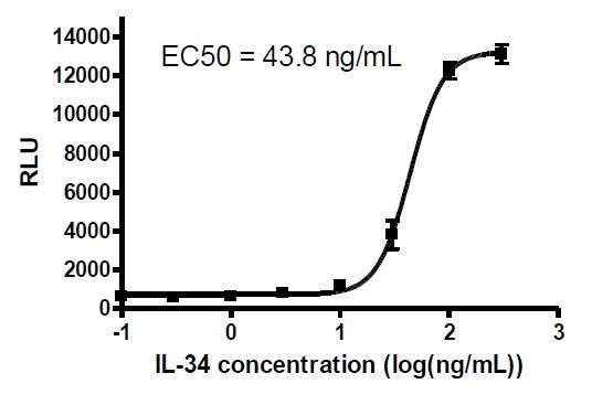 CSF1R / SRE - Reporter HEK293 Recombinant Cell Line | BPS Bioscience ...