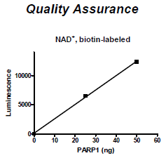 NAD, Biotin labeled (250 µM aqueous solution) | BPS Bioscience | Biomol.com
