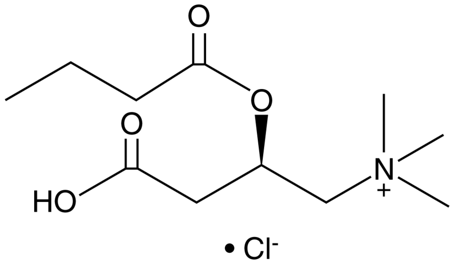 Butyryl-L-carnitine (chloride) | CAS 162067-50-7 | Cayman Chemical ...