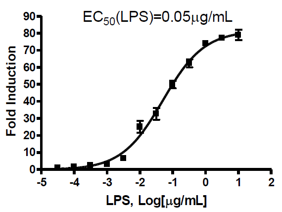 NF- kappaB Reporter (Luc) - THP-1 Cell Line | BPS Bioscience | Biomol.de
