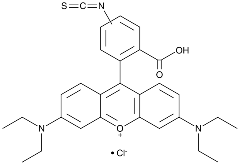 Rhodamine B isothiocyanate (mixed isomers) | CAS 944130-99-8 | Cayman Chemical | Biomol.com
