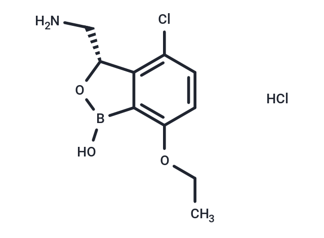 LeuRS-IN-1 hydrochloride | TargetMol | Biomol.com