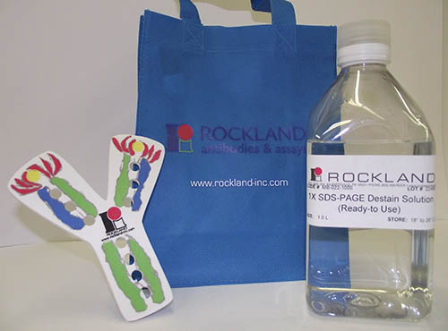 1 x SDS-PAGE Destain Solution (Ready-to-Use) | Rockland Immunochemicals ...