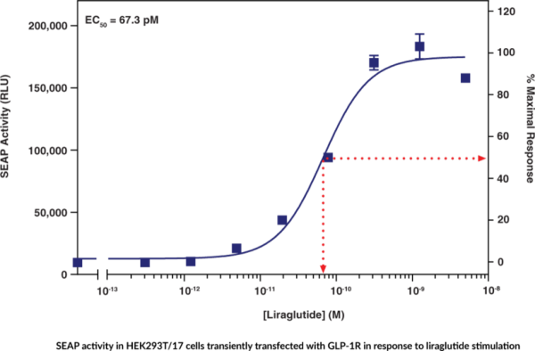 GLP-1 Receptor (human) Reporter Assay Kit | Cayman Chemical | Biomol.com