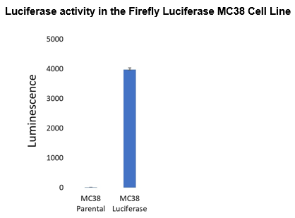 Firefly Luciferase MC38 Cell Line | BPS Bioscience | Biomol.com