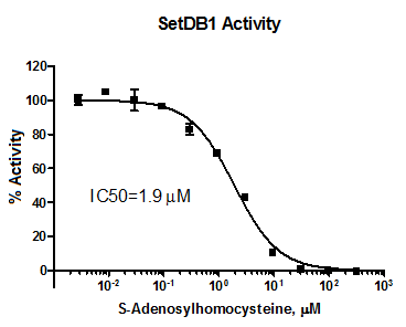 SetDB1 Chemiluminescent Assay Kit | BPS Bioscience | Biomol.com