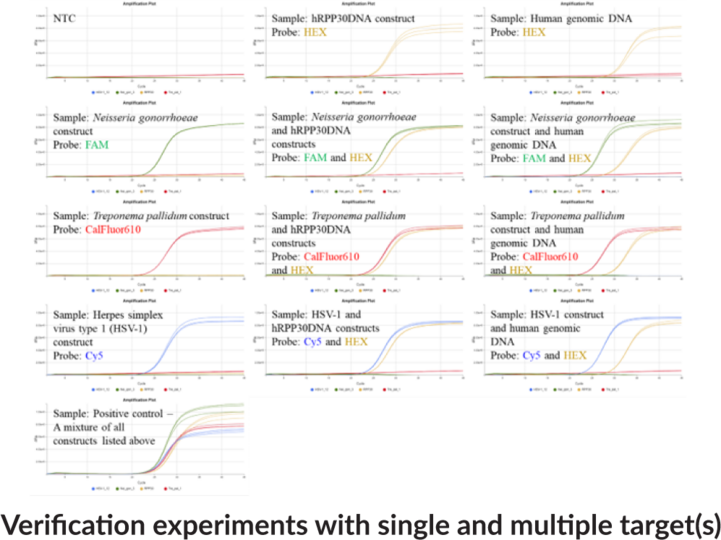 STI10 4-color (MIC) Multiplexed qPCR Assay | Cayman Chemical | Biomol.de