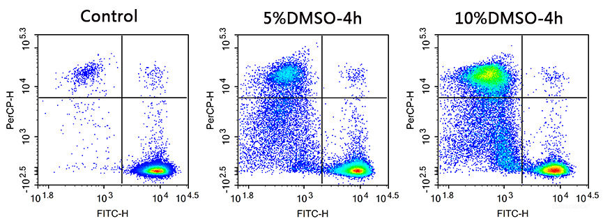 Calcein-AM/PI Double Staining Kit | Elabscience | Biomol.com