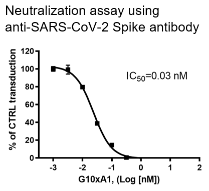 Spike (BA.1.1, Omicron Variant) (SARS-CoV-2) Pseudotyped VSV Delta G ...