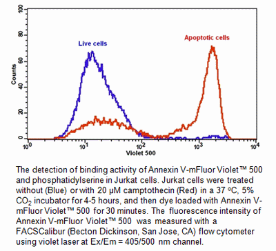 Cell Meter(TM) Annexin V Binding Apoptosis Assay Kit, Green Fluorescence Excited at 405 nm | AAT ...