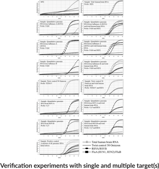 Virus-URP7 4-color (QuantStudio) Multiplexed RT-qPCR Assay | Cayman ...