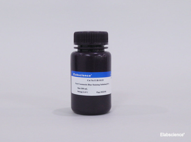 Fast Coomassie Blue Staining Solution (10×) | Elabscience | Biomol.de