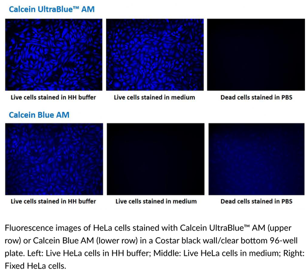 Calcein UltraBlue(TM) (sodium salt) | Cayman Chemical | Biomol.com