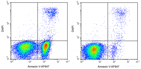 Annexin V-AF647 / DAPI Apoptosis Detection Kit | Elabscience | Biomol.com