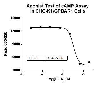 CHO-K1/GPBAR1 Stable Cell Line | GenScript | Biomol.com