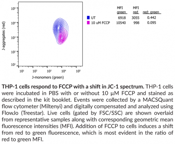 JC-1 Mitochondrial Membrane Potential Flow Cytometry Assay Kit | Cayman ...