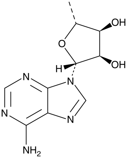 5'-Deoxyadenosine | CAS 4754-39-6 | Cayman Chemical | Biomol.com