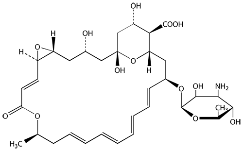 Natamycin | CAS 7681-93-8 | LKT Laboratories | Biomol.de