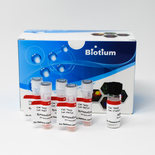 Nerve Terminal Staining Kit IIB | Biotium | Biomol.com